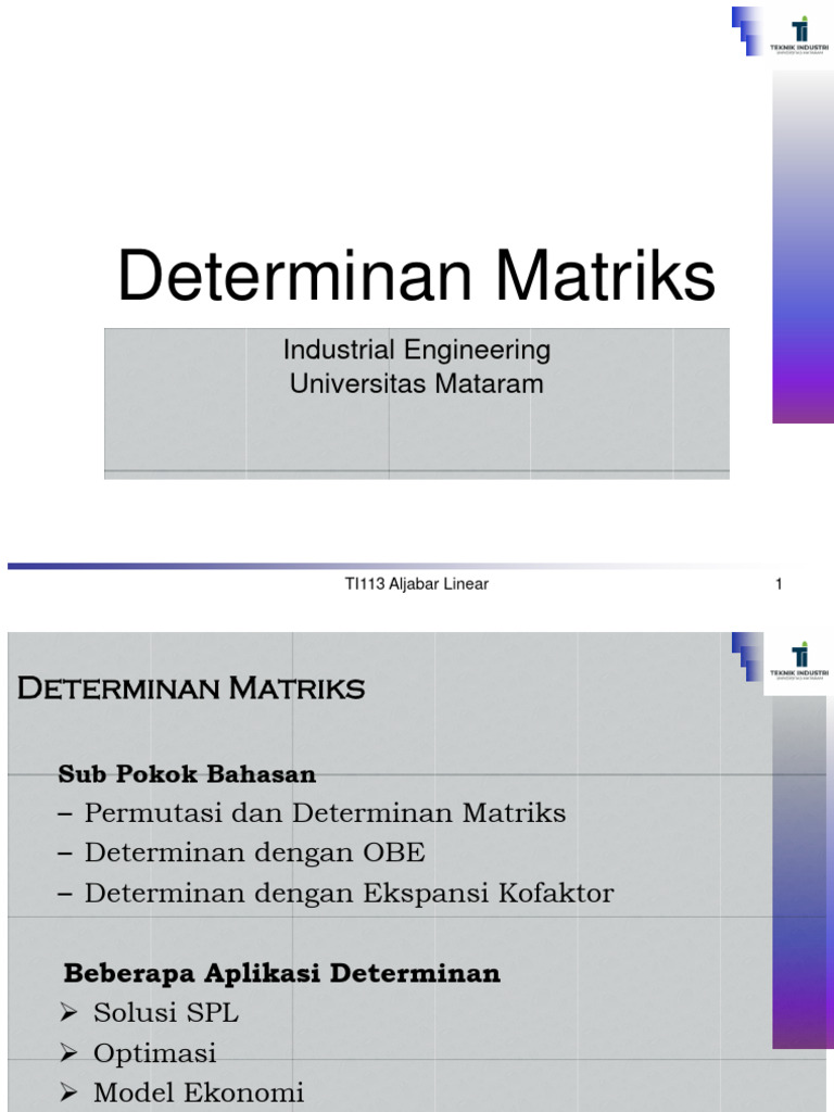 Panduan Lengkap Determinan Matriks | PDF