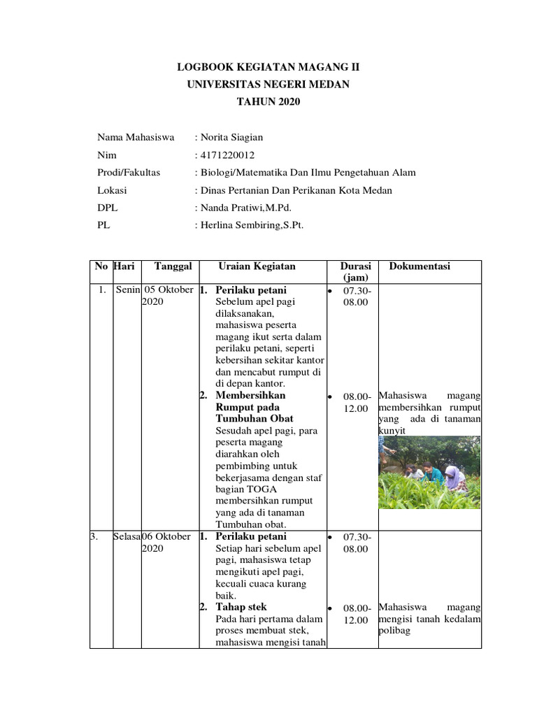 Norita Siagian - Laporan Harian Magang Ii | PDF
