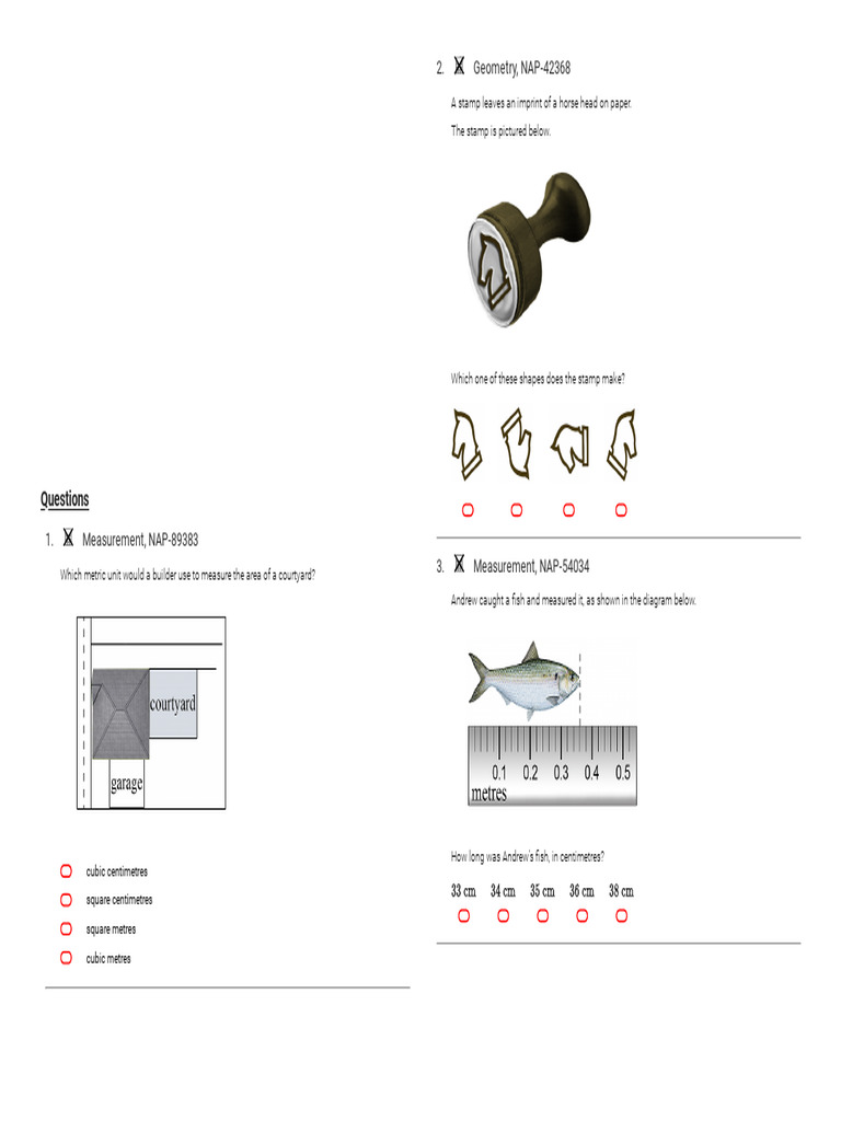 Year 7 Naplan Practice Mathematics | PDF