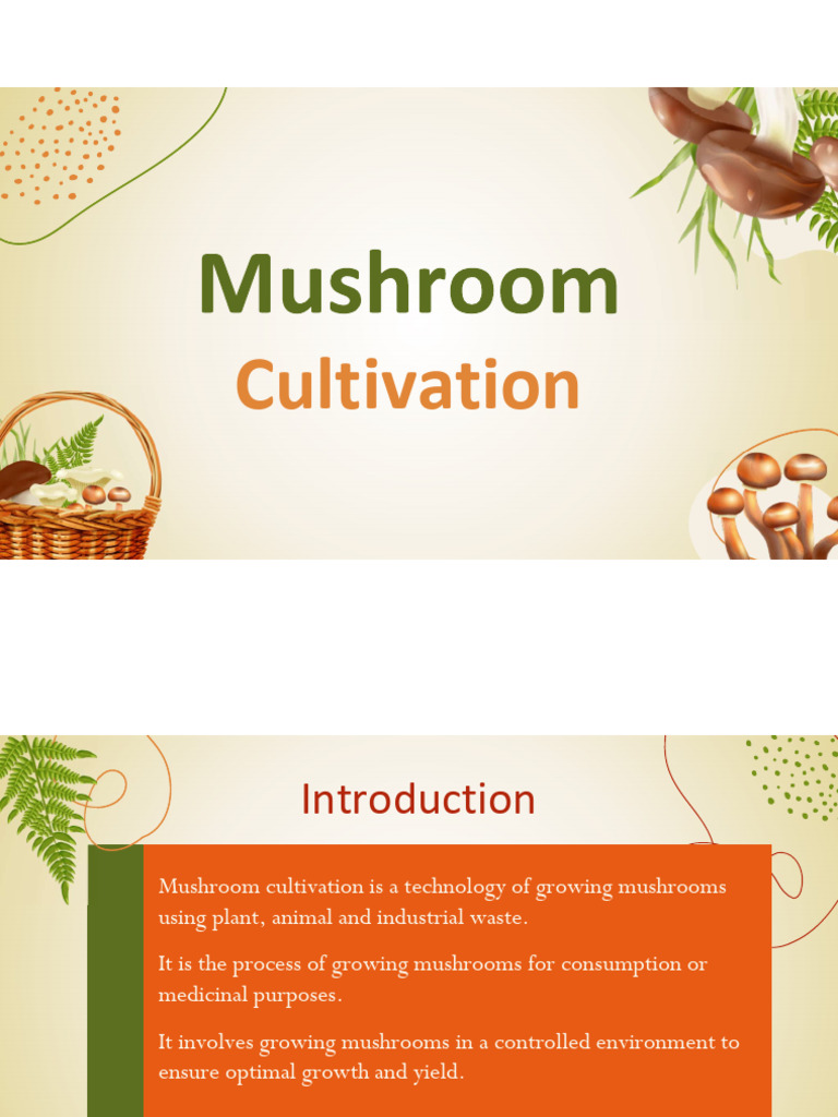 Mushroom Cultivation Overview | PDF | Cooking, Food & Wine | Home & Garden