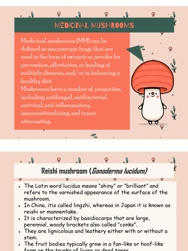 Medicinal Mushrooms | PDF | Mushroom | Mycology