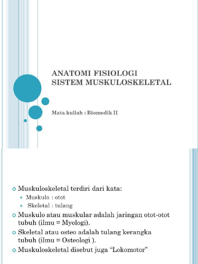 Anatomi Muskuloskeletal | PDF