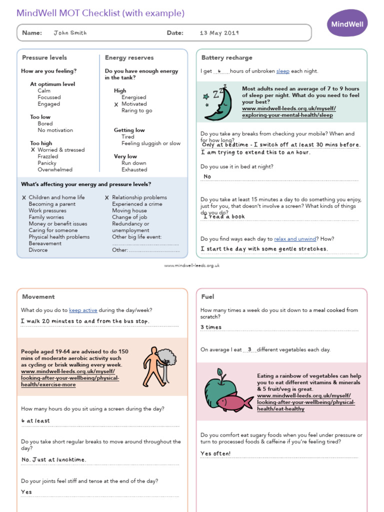 MindWell MOT Checklist With Example Accessible Updated Links | PDF