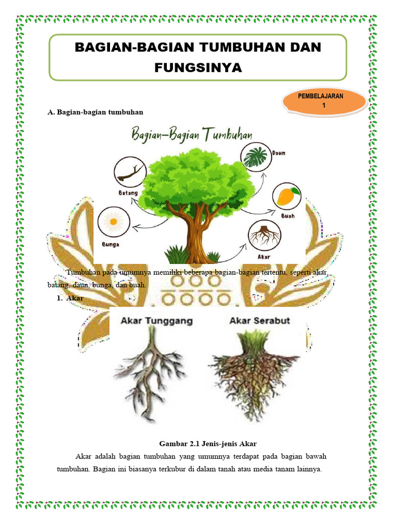 Bagian dan Fungsi Tumbuhan Lengkap | PDF