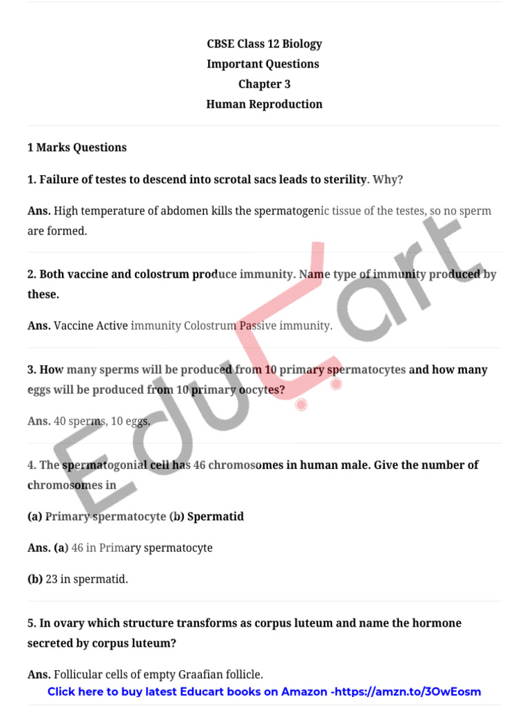 1 Mark (Human Reproduction) | PDF | Testicle | Reproduction