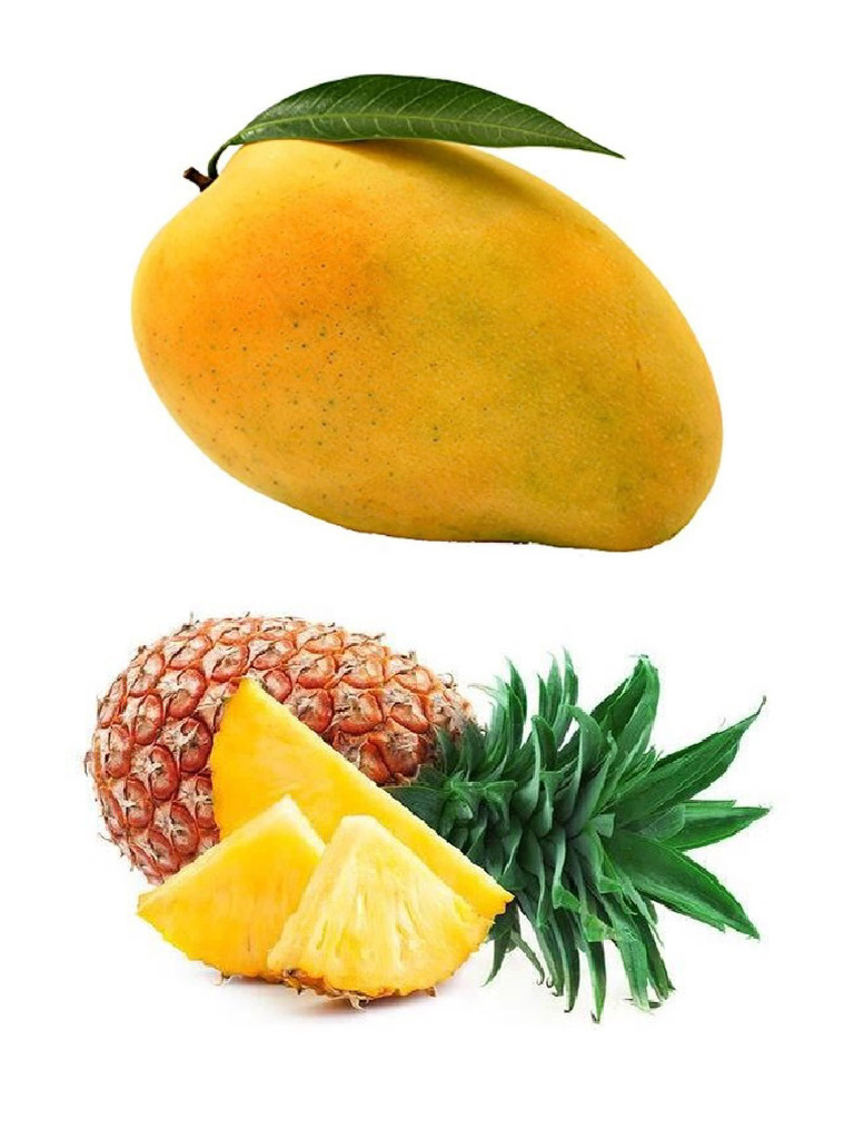 A5 Fruits | PDF