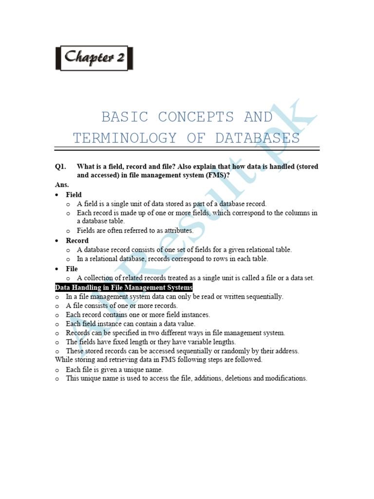 12 Computer CHP 2 | PDF