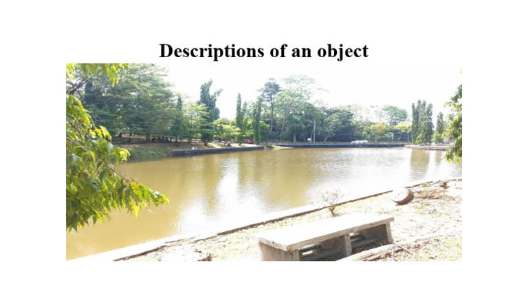 Descriptions of An Object | PDF