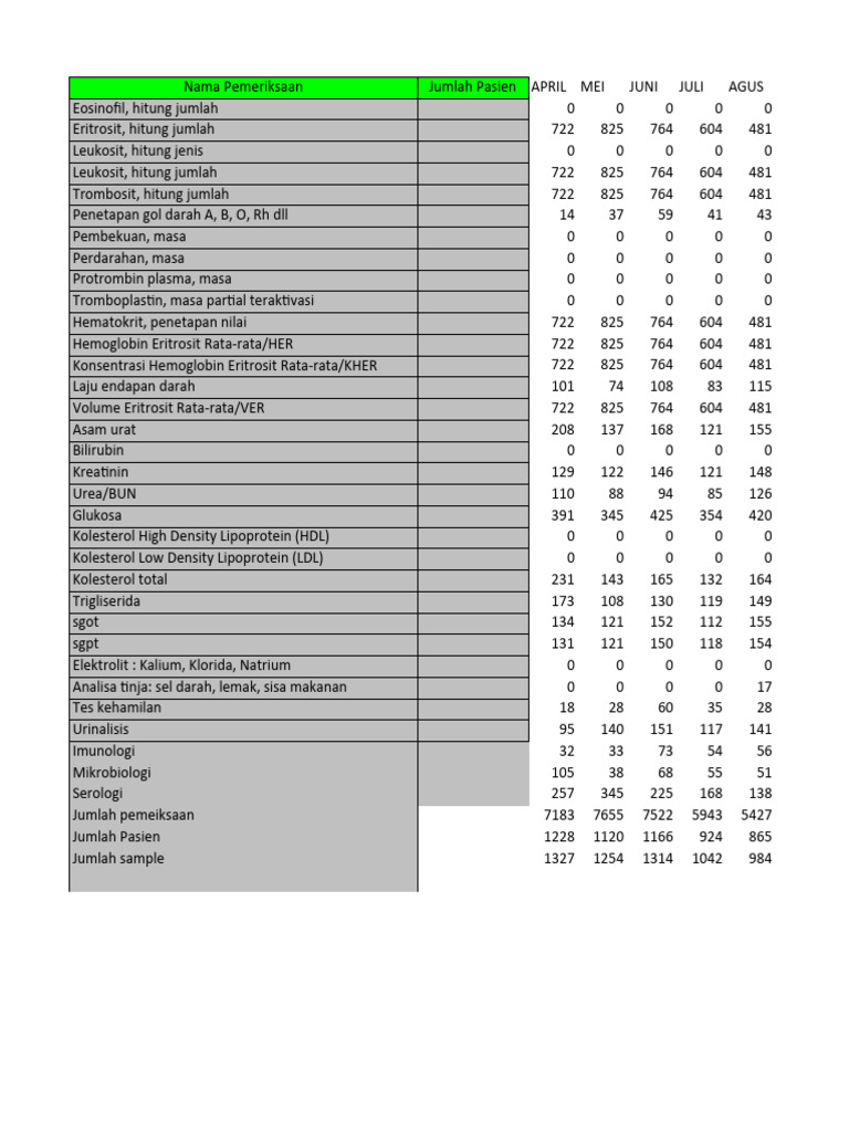 Format RL 3.8 Dinkes | PDF