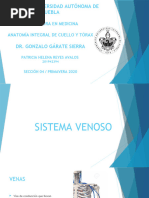 CISTOCLISIS | PDF | Vejiga urinaria | Orina