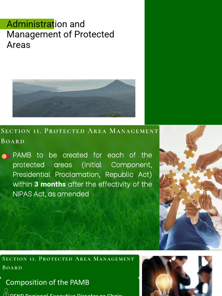 Pamb Powers and Functions | PDF | Governance | Government