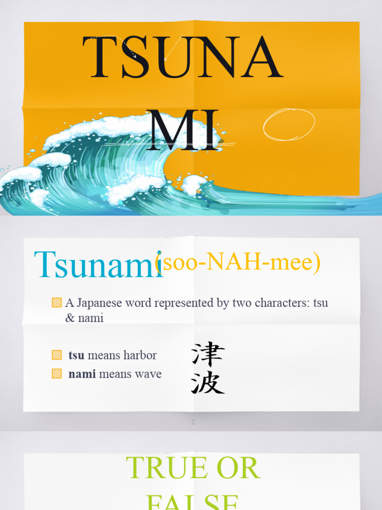 Tsunami | PDF