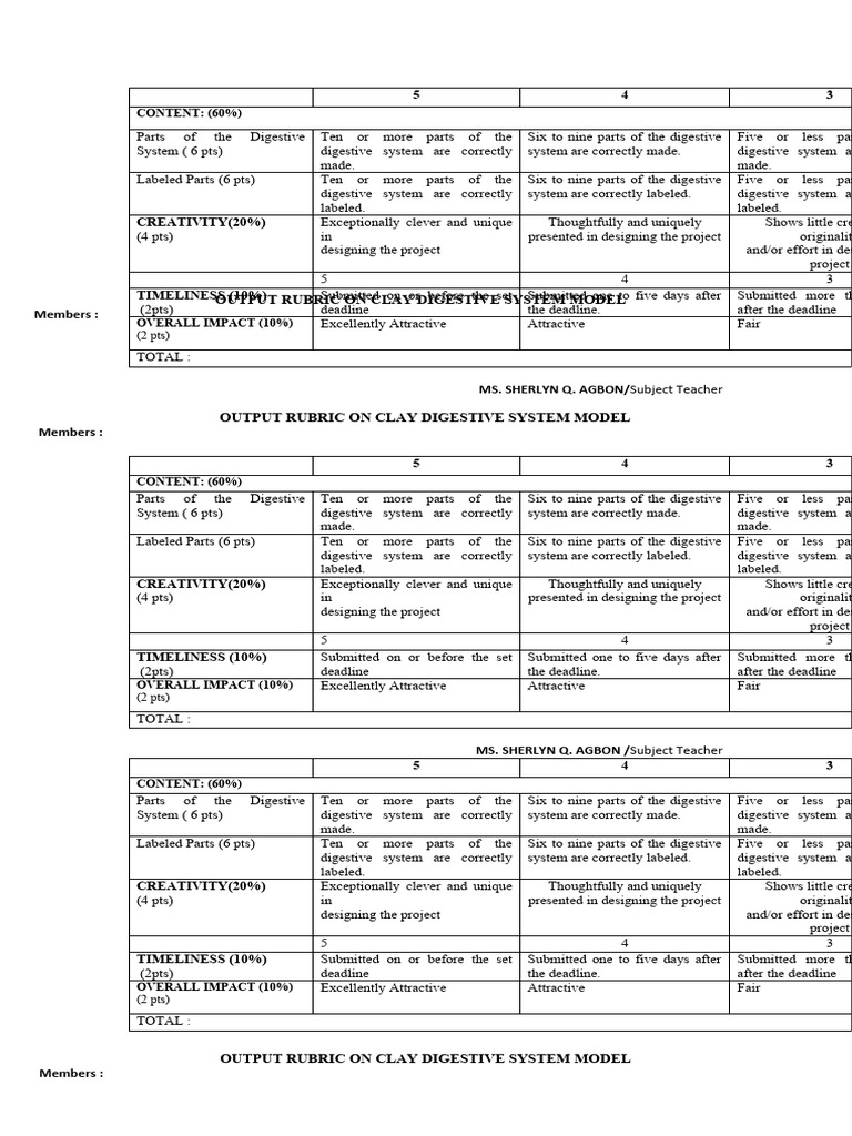 Digestive System Model Rubric | PDF