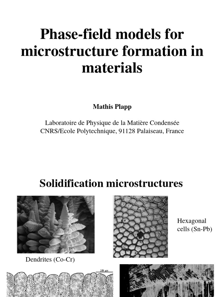 Phase Field Models For The Evolution Of Complex Systems Download Free