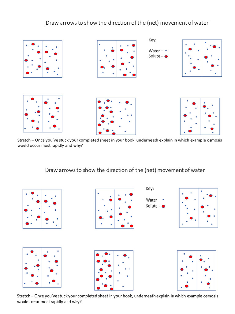 Osmosis Worksheet | PDF