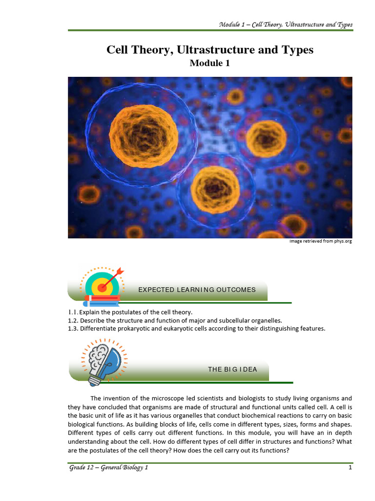 1.1 Cells (Theory, Types and Ultrastructure) | PDF | Cell (Biology ...