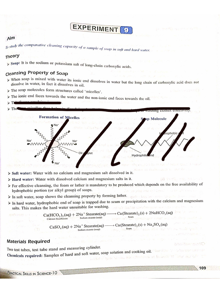 Exp 4. Cleansing Action of Soap | PDF