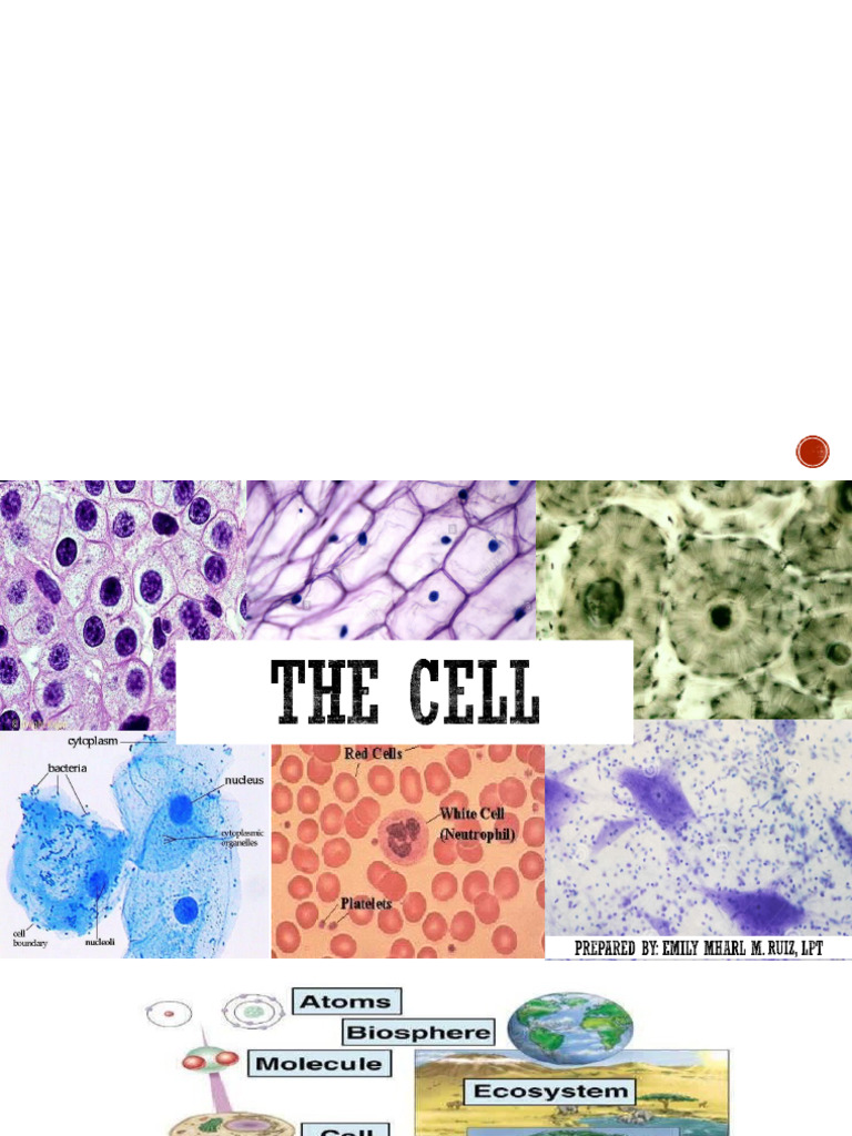GENBIO Lesson 1 and 2 | PDF