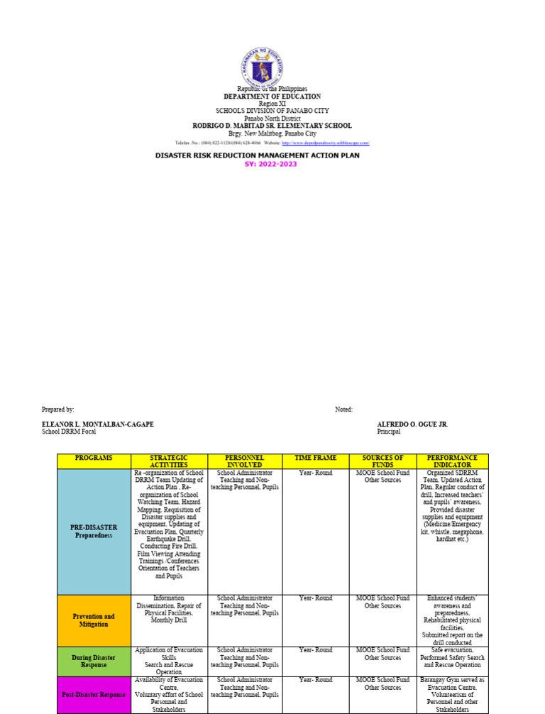 DRRM - Action Plan 2021 | PDF