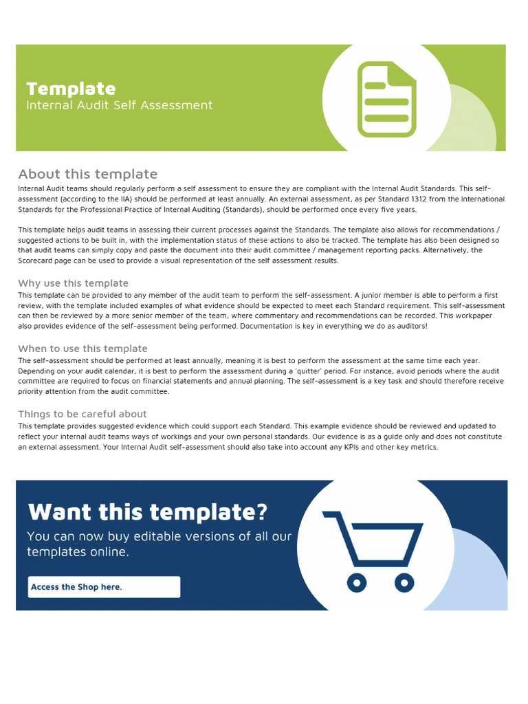 Internal Audit Self-Assessment Guide | PDF