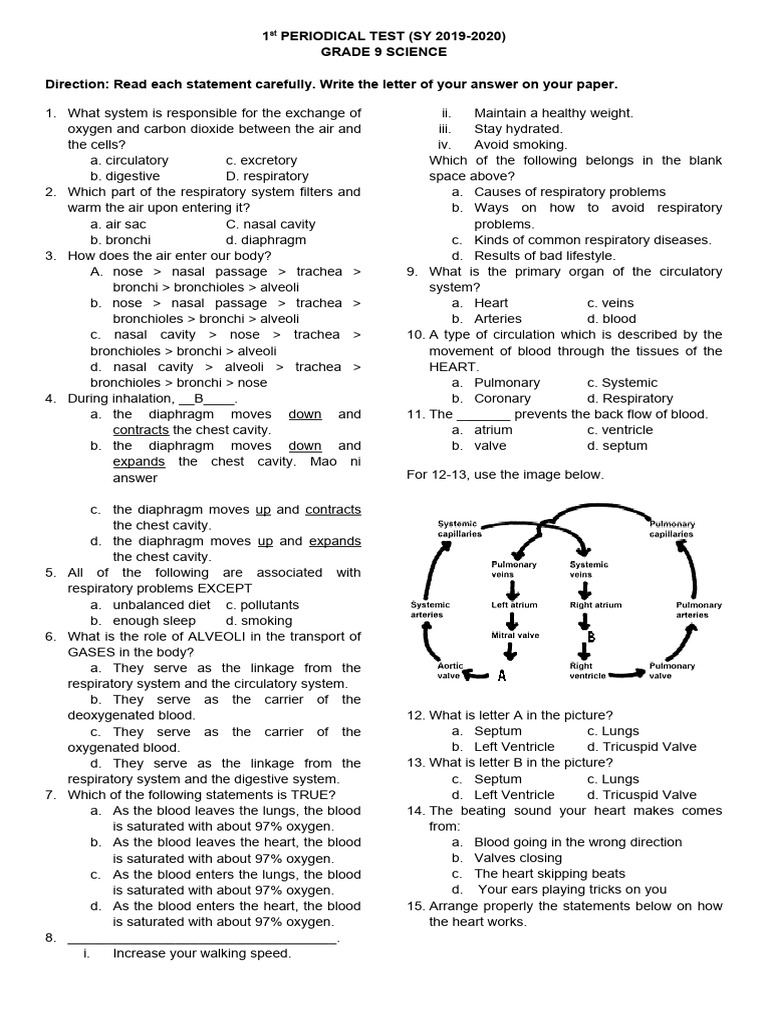 Grade 9 Science Periodical Test 2019-2020 | PDF | Respiratory System ...