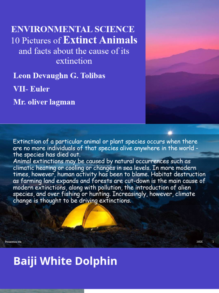 Extinct Animals | Download Free PDF | Extinction | Rhinoceros