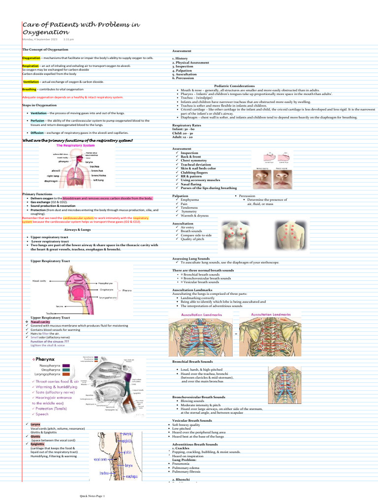 Care of Patients With Problems in Oxygenation | PDF | Lung | Respiratory Tract