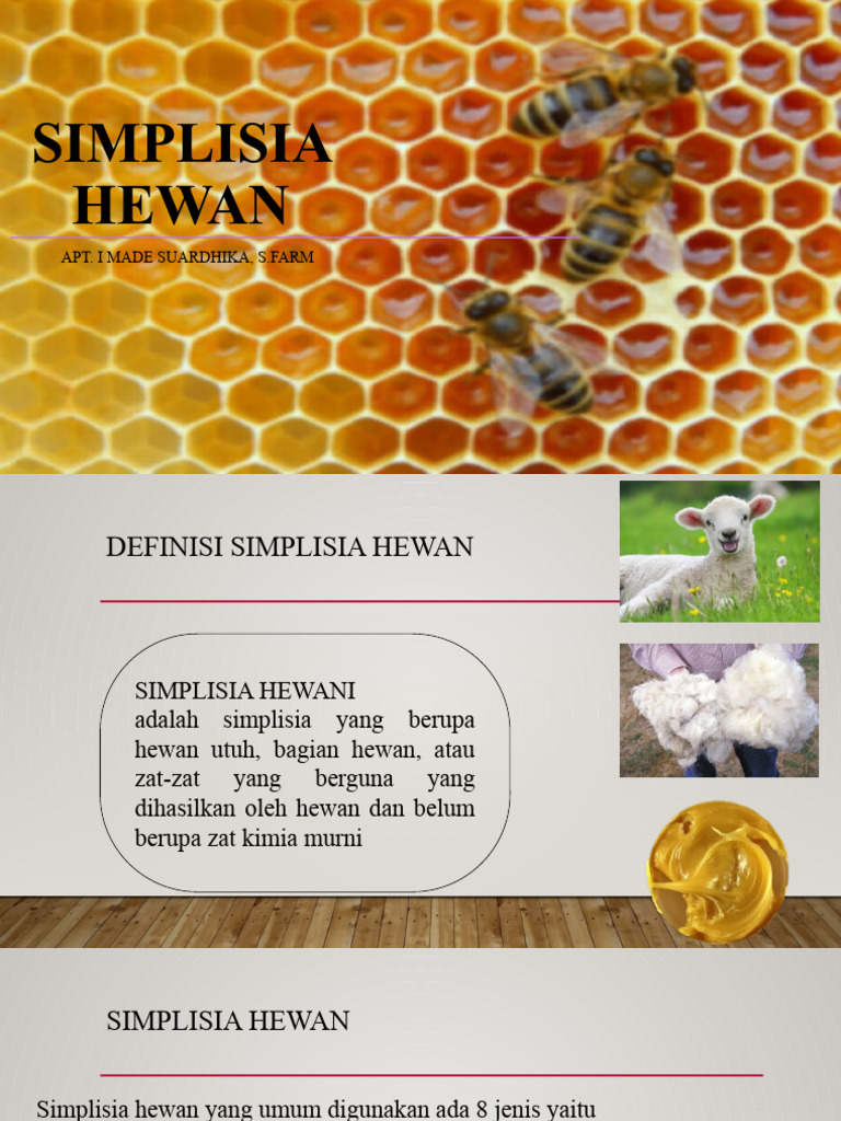 Simplisia Hewan | PDF