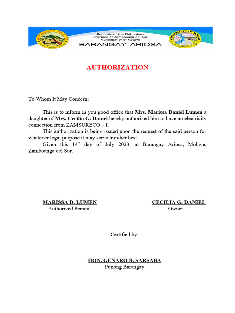 Authorization Electricity | PDF