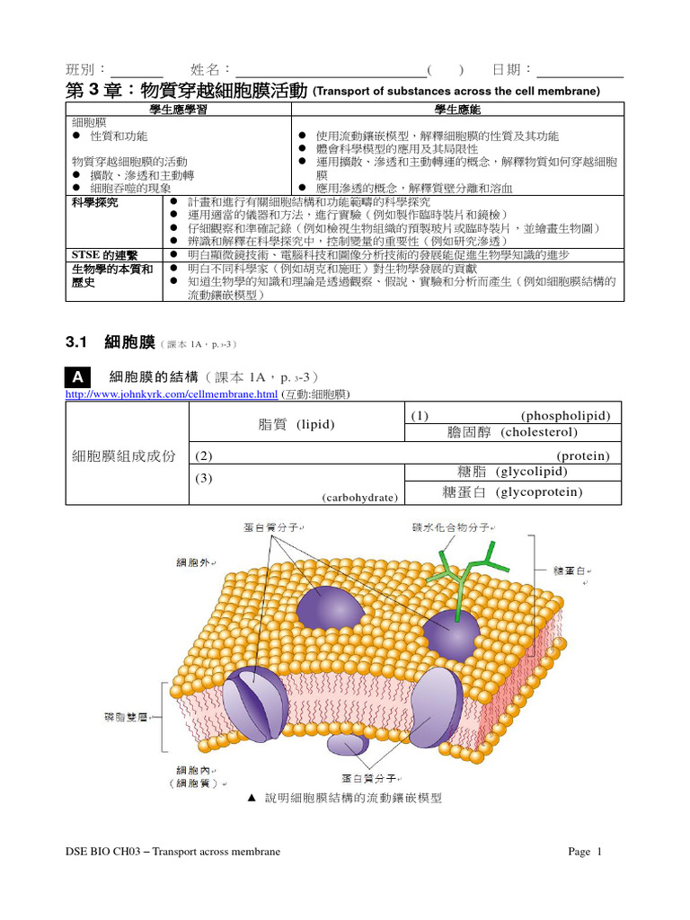 ws ch03細胞膜轉運 c-TKC-1415 | PDF