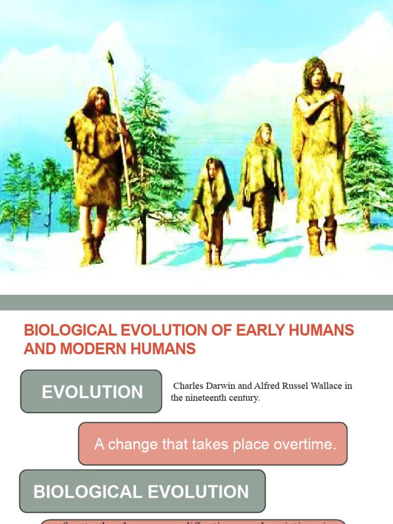 Evolution of Early to Modern Humans | PDF | Homo | Human Evolution