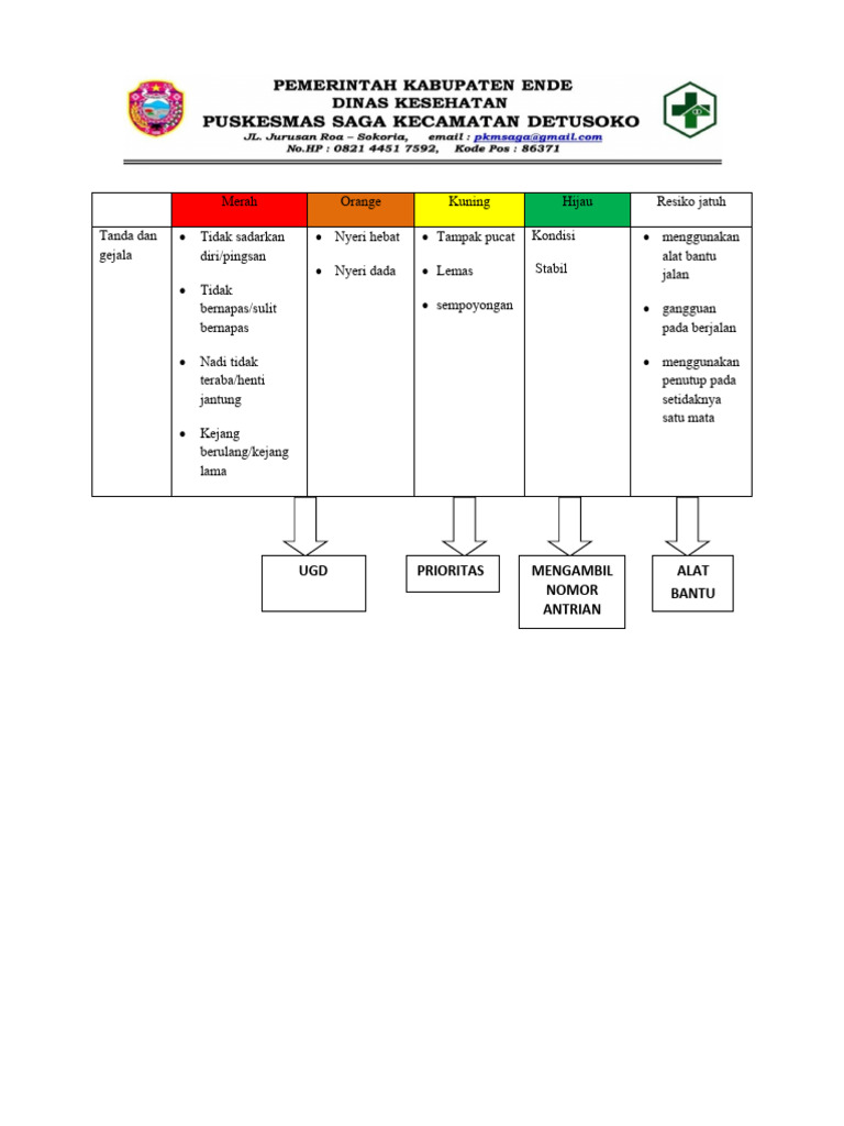 3.2.a SKRINING VISUAL FORM | PDF