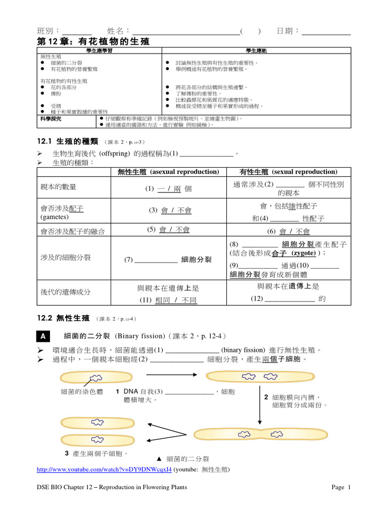 Ws - ch12 - C TKC 1415 2 | PDF