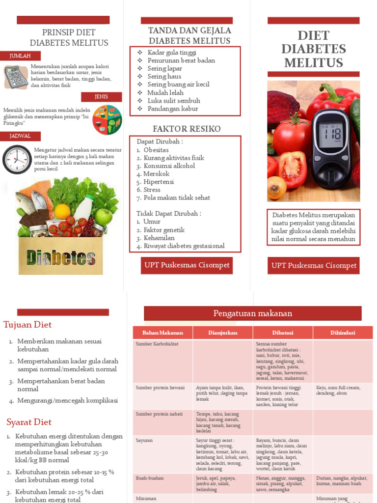 Leaflet Diabetes Melitus | PDF