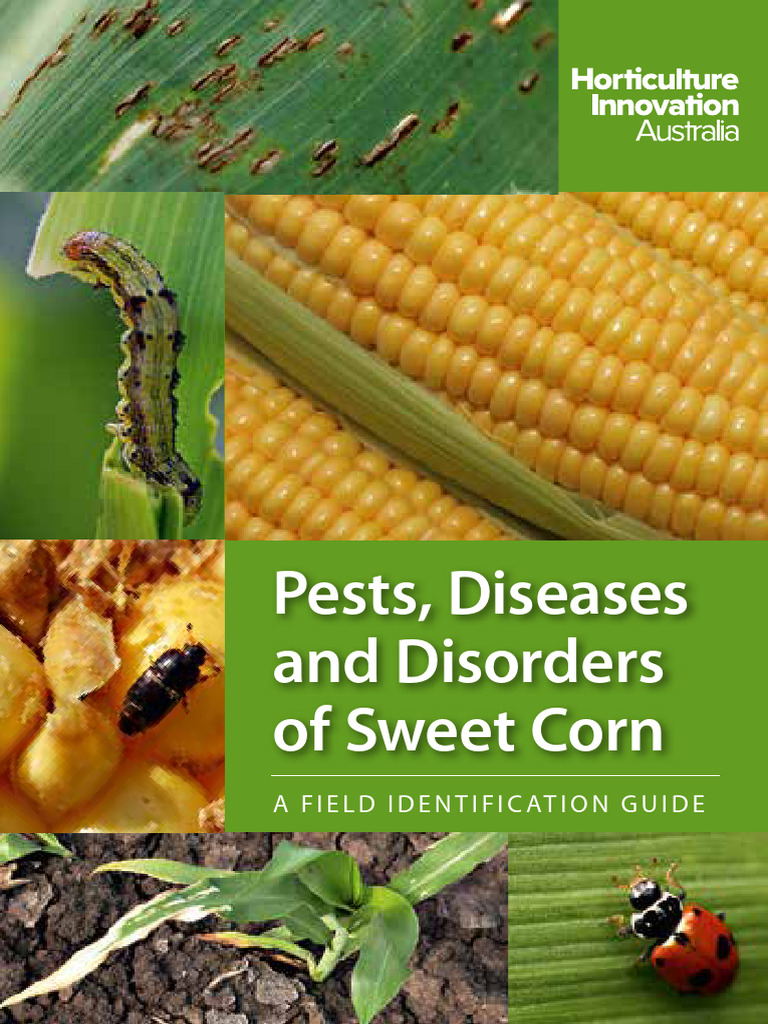 Pest and Disease Guide | PDF