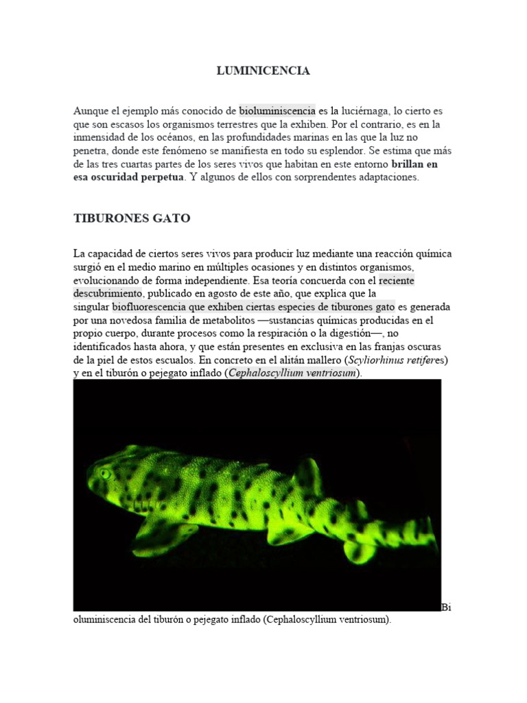 LUMINICENCIA | PDF | Biología