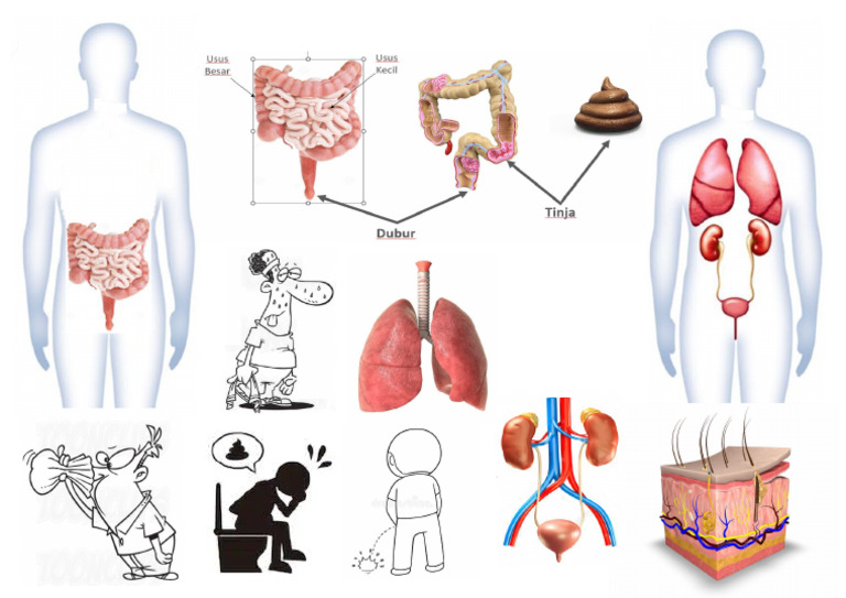 Gambar Perkumuhan dan penyahtinjaan | PDF