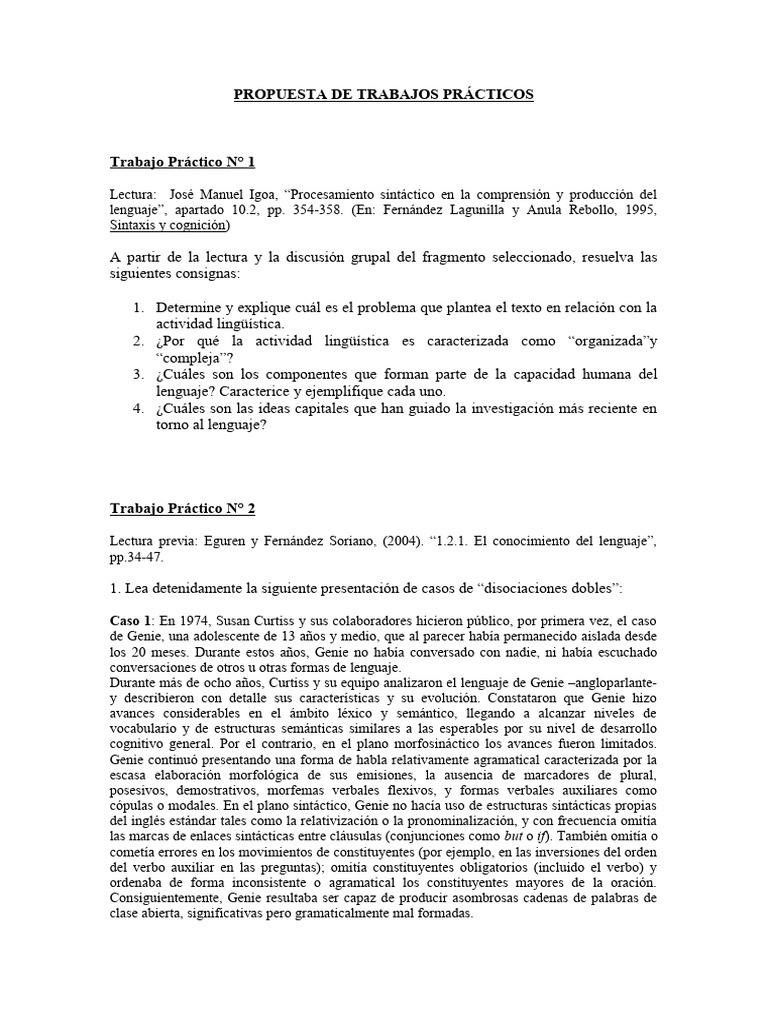 01 PROPUESTA DE TP Ling 2007 | PDF