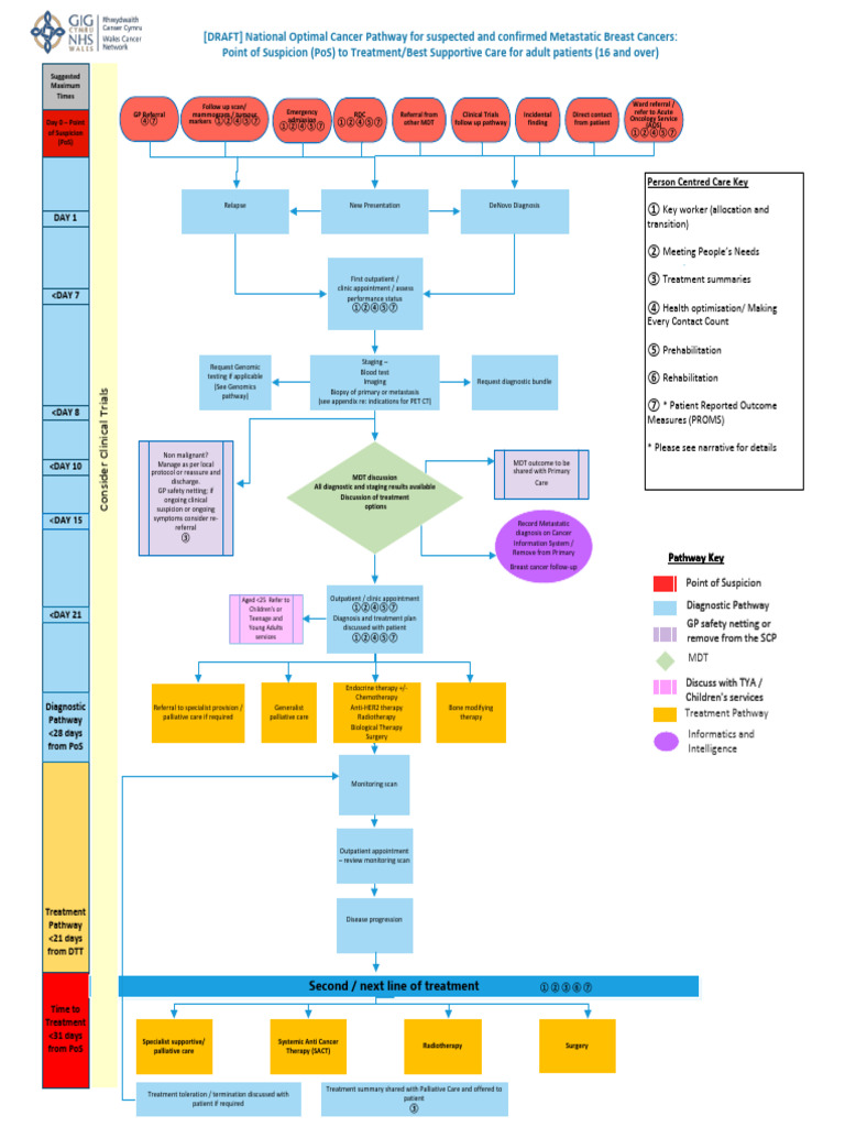 WCN National Optimal Metastatic Breast Cancer Pathway | PDF | Oncology | Health Sciences