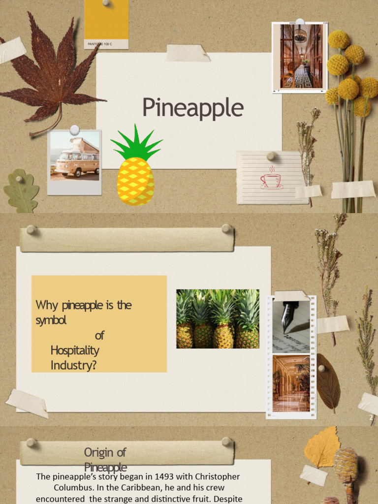 Springboard #1 Pineapple | PDF