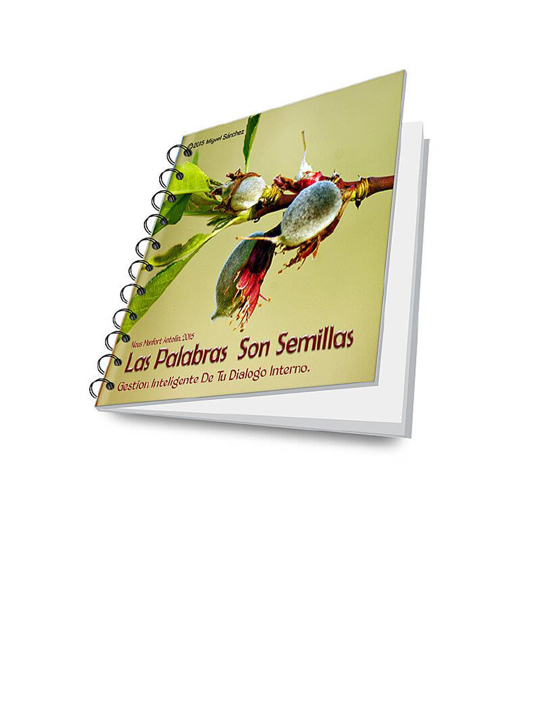 Las Palabras Son Semillas | PDF | Pensamiento | Mente
