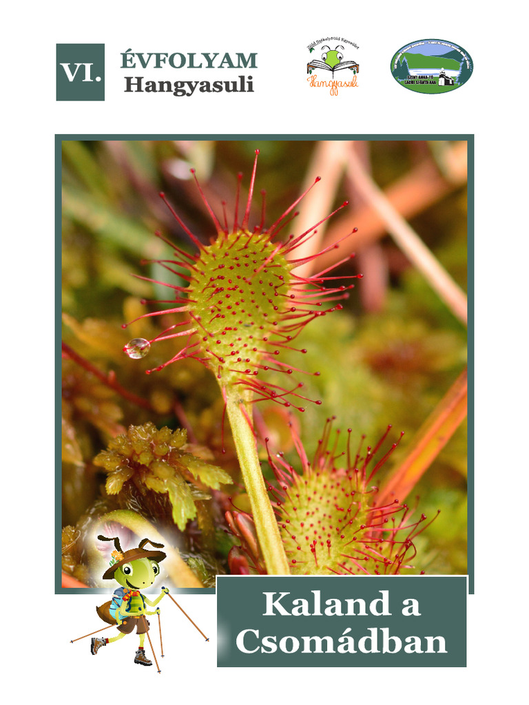 Kaland A Csomadban - Letoltheto | PDF