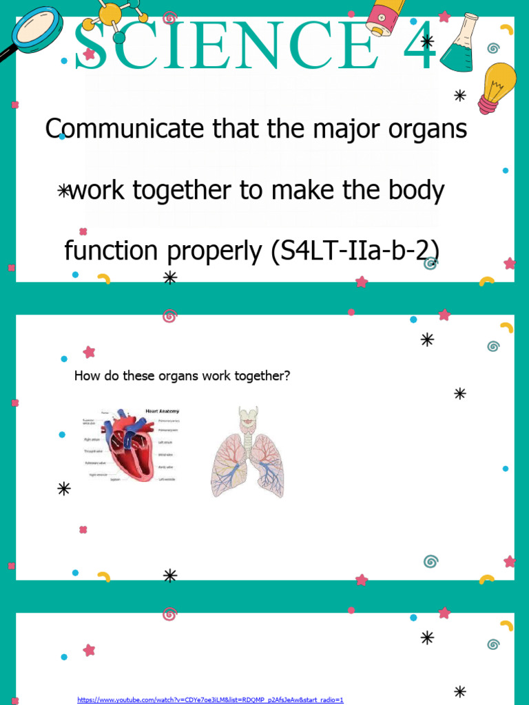Major Organs Functioning Together | PDF | Wellness