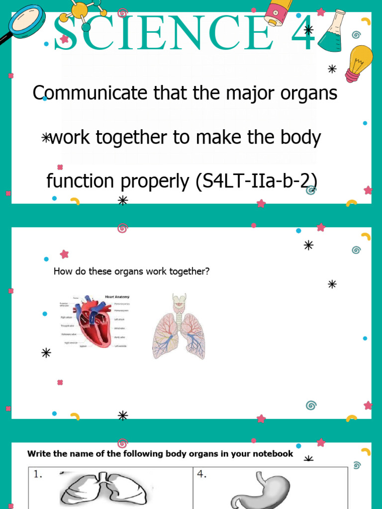Major Organs Working Together in Science 4 | PDF