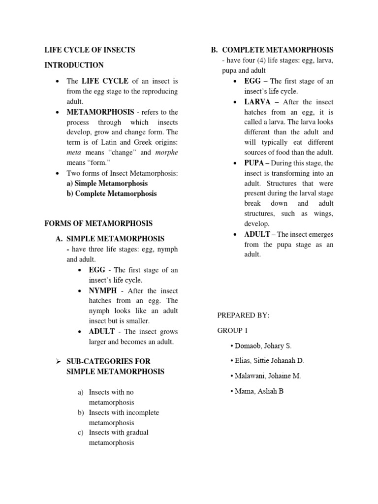 Insect Life Cycle and Metamorphosis | PDF | Insects | Insects And Humans