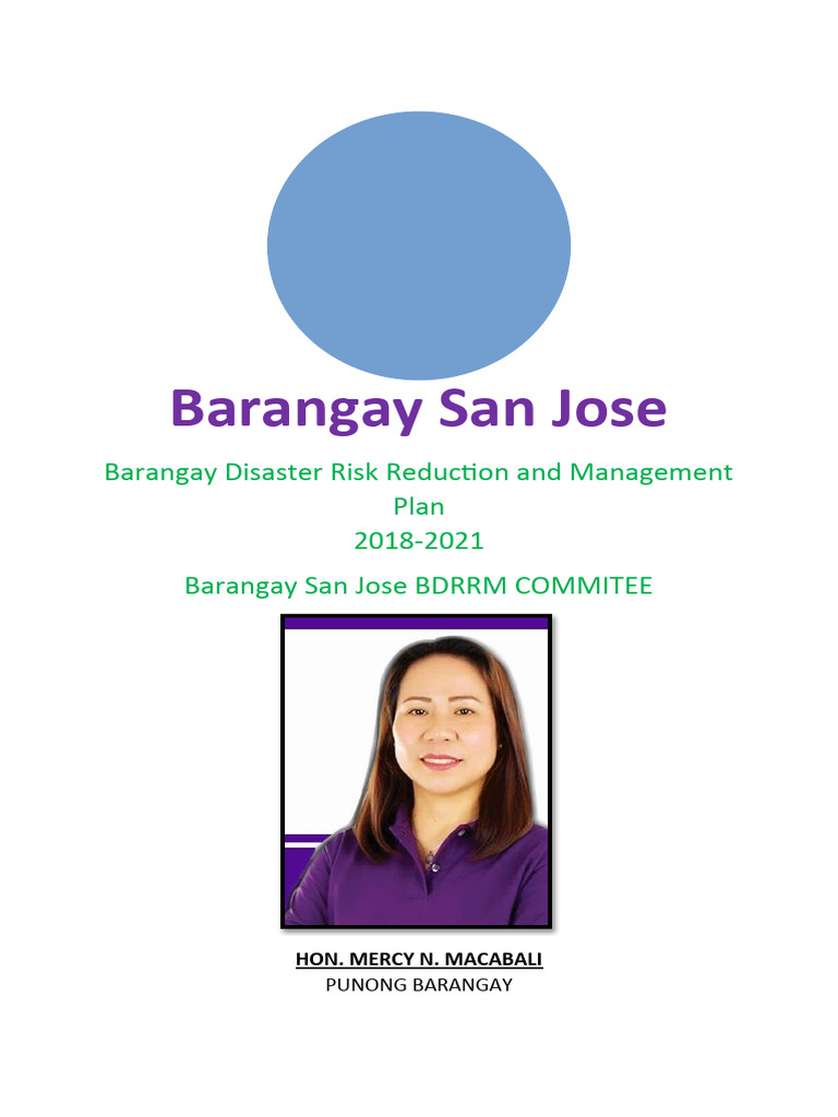 History BDRRMP | PDF