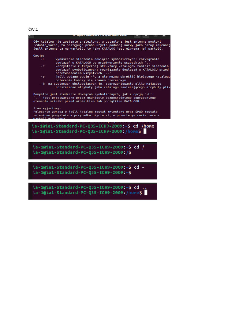 Karta Pracy PSO 1 | PDF