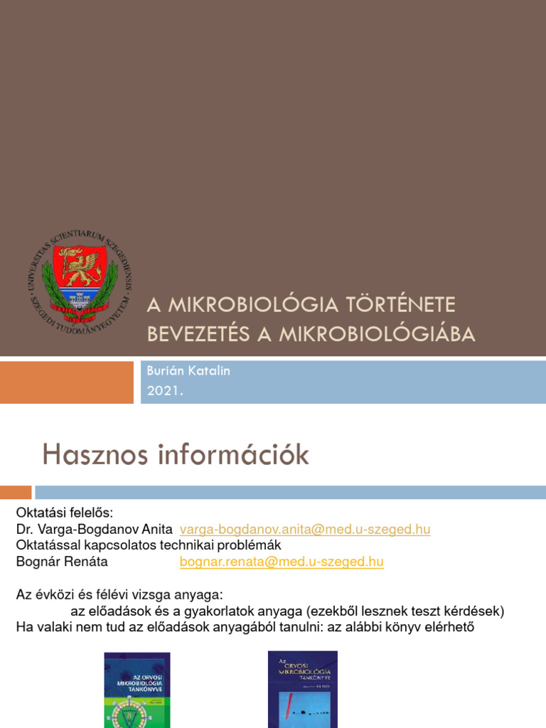 Mikro 1 Félévelőadások | PDF