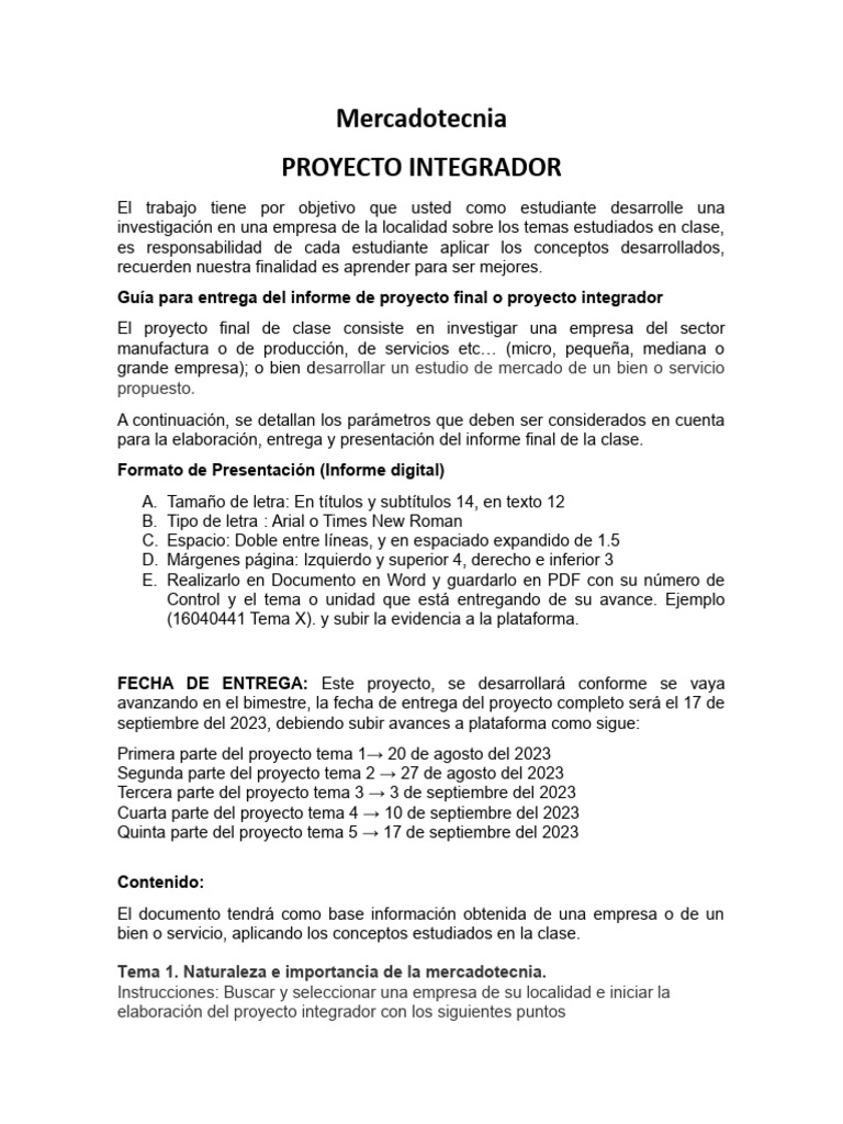 Proyecto Integrador | PDF