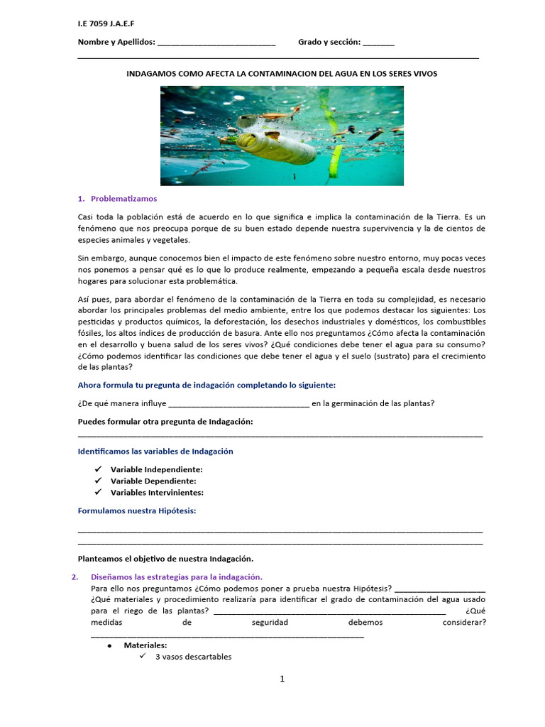 Indagamos Como Afecta La Contaminación En Los Seres Vivos Pdf La